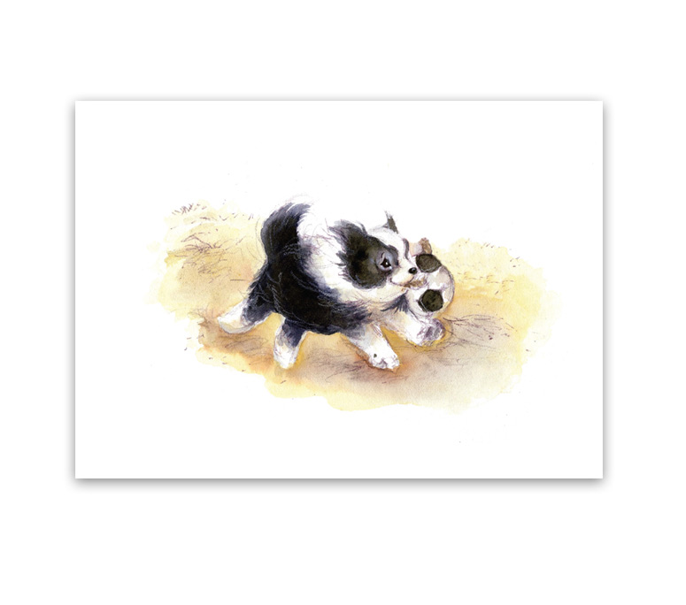 Mandy Foot Illustrator Store